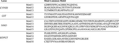 Most Predominant Motif Distribution In Ntsr Genes Download Scientific Diagram