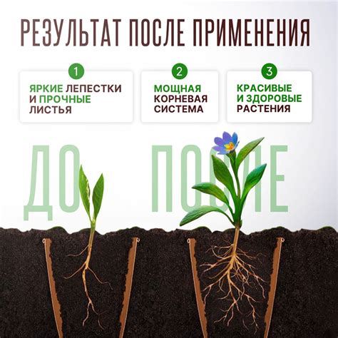 Ускоритель роста для комнатных цветов и рассады универсальный ...
