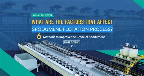 What Are The Factors That Affect Spodumene Flotation Process Six Ideas To Improve The Grade Of