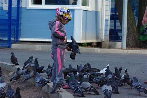 Голубь в костюме 35 фото красивые фото и картинки Pofoto Club