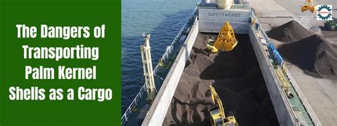 the dangers of transporting palm kernel shells as a cargo
