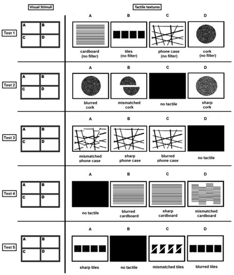 Difference Between Visual And Tactile Texture