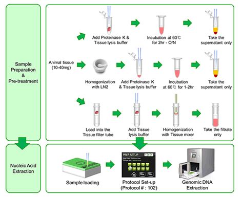 Plasmid Dna Isolation Protocol