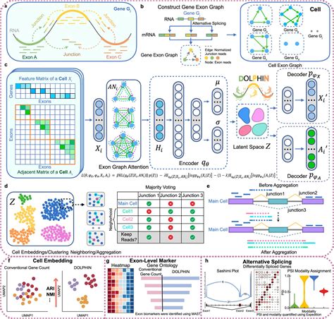 Ai Tool Detects Hidden Disease Warning Signs By Analyzing Genetic