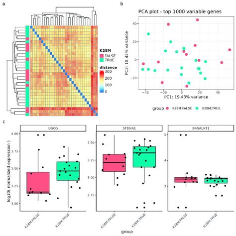 Gene Expression Analysis Was Performed On Samples From Patients With
