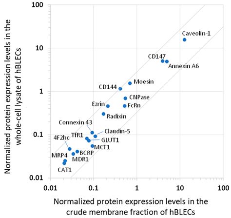 Quantitative Targeted Absolute Proteomics For Better Characterization