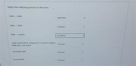 Solved Match The Following Process To The Term DNA DNADNA Chegg