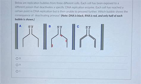 Solved Below Are Replication Bubbles From Three Different Chegg Com
