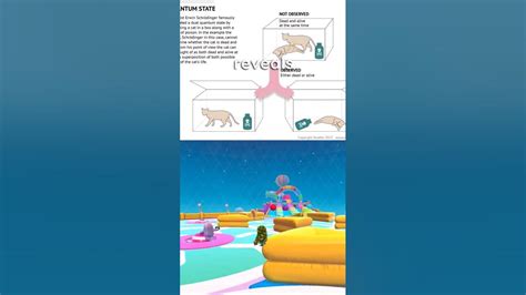 Quantum Superposition Explained In 1 Minute Youtube