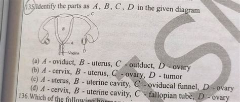 Identify The Parts As A B C D In The Given Diagram Filo