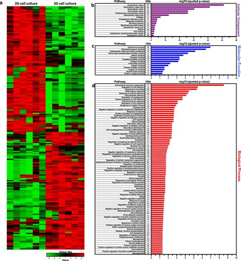 Proteomic And Gene Ontology Enrichment Analysis Of Exosomal Protein