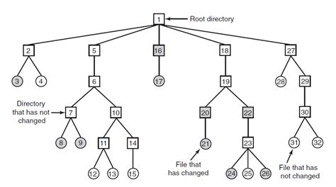 File System Management And Optimization