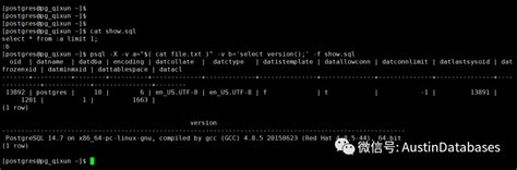 Postgresql Psql 命令中如何使用变量带入查询和函数 Csdn博客