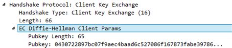 TLS Security Establishing A TLS Connection Acunetix