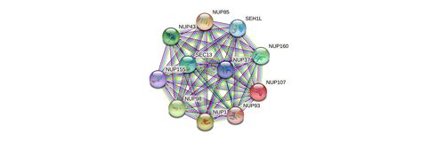 Fusionpdb Fusion Protein Annotation Database Search