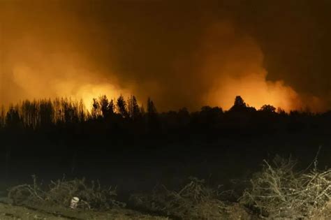 Incendios En El Bolsón Ordenaron La Liberación De Las Seis Personas