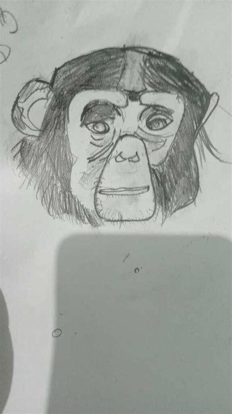 Noob What Do You Think It Is Babe Forum Graphic Design Forum