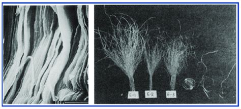 Growth Packed Micron Sized Ppta Fibers [40] Copyright 1987 Springer