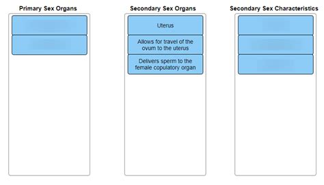 Classifying Sex Organs And Characteristics Diagram Quizlet