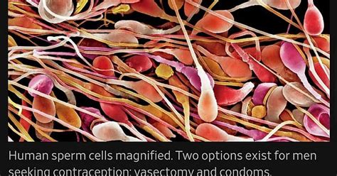 This Whole Time Ive Been Using My Personality As A Birth Control