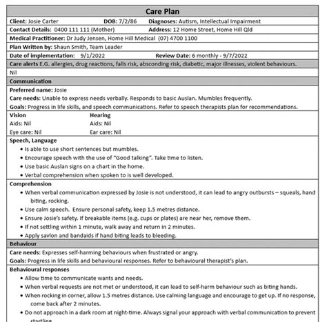 Care Plan Templates Disability Templates Supporttoyou