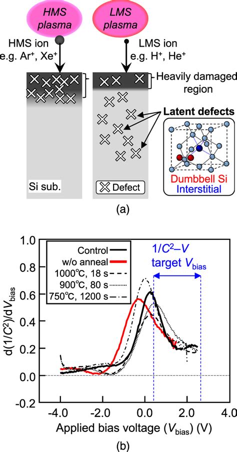 Characterization Of Dynamic Behaviors Of Defects In Si Substrates