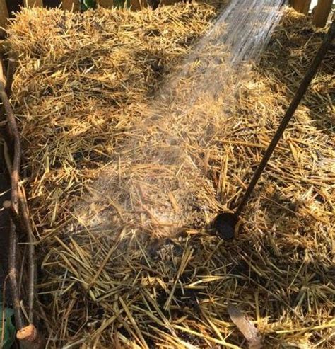 Guide To Composting The Enduring Gardener