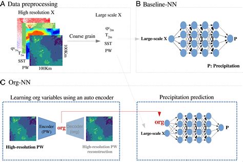 Implicit Learning Of Convective Organization Explains Precipitation Stochasticity Pnas