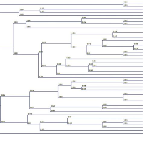 Representative Electropherogram Generated From Genotyping Using Ssr Download Scientific Diagram