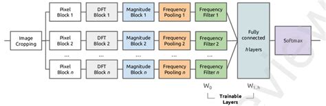 basic frequency layer architecture for image classification download