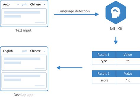 Real Time Language Detection Languagevoice Related Services App