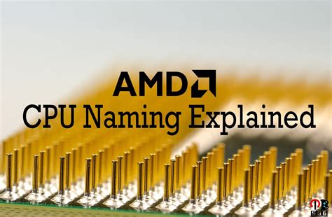 Amd Cpu Naming Explained
