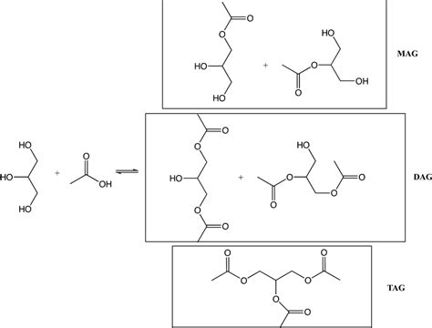 Glycerol Esterification With Acid Acetic Download Scientific Diagram