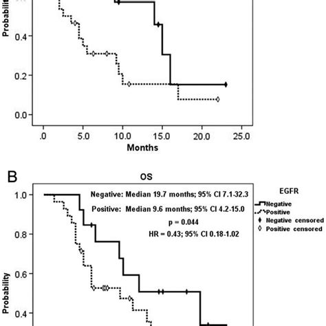 Kaplan Meier Survival Analysis Of Egfr Expression Subgroups A