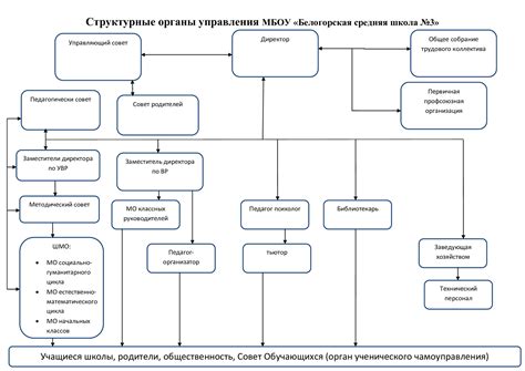Структура и органы управления образовательной организацией