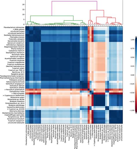 Clustered Correlation And Dendrogram Plot For Species During The Download Scientific Diagram