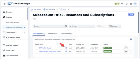 Start Using SAP HANA Cloud Trial In SAP BTP Cockpit SAP Tutorials