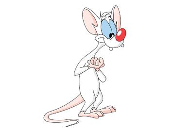 Pinky Animaniacs Character Hobbydb