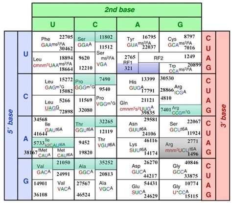Codon Usage School Pinterest