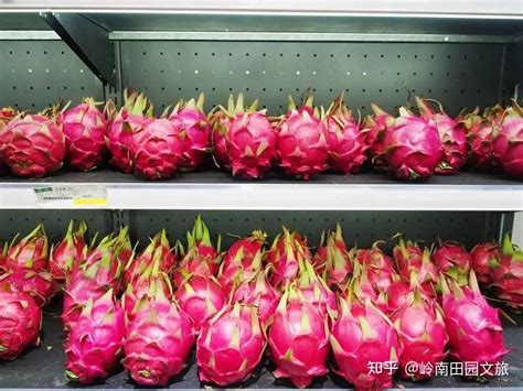 凭一颗火龙果就被称为农业界的迪士尼年接待游客超50万人次 知乎