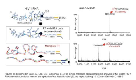 Matthew Lauber On Linkedin Hiv Rna Lcms Oligonucleotide Omics Hiv Lcms Biotechnology Rna