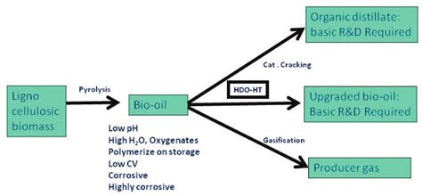Summary Of Pyrolysis Reaction And Possible End Products Download Scientific Diagram