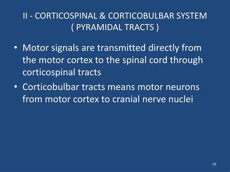 PPT CORTICAL MOTOR AREAS DESCENDING MOTOR TRACTS PYRAMIDAL EXTRA PYRAMIDAL SYSTEM