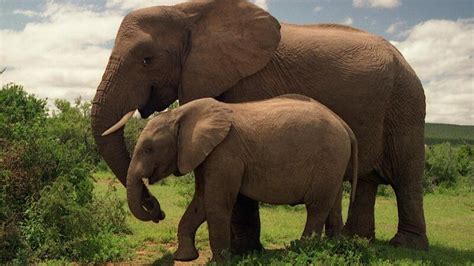 Scaling Postgresql For Million Users