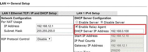 Dhcp Relay Over Vpn