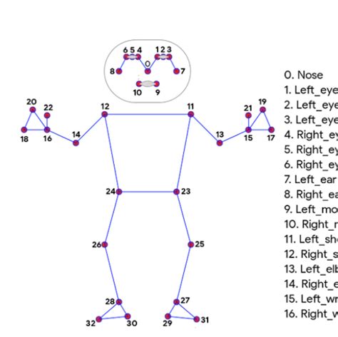 Multi Class Exercise Poses For Human Skeleton Kaggle