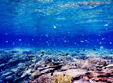 沖縄美ら海写真撮影の旅へOkinawa Photo Tripインスタグラマーyama ok5さん