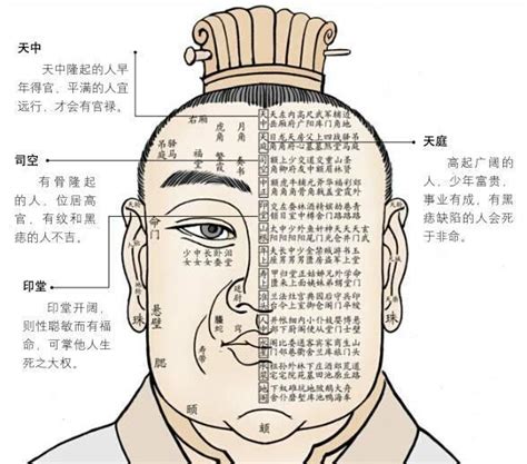面部有流年吉凶三停十三百位图部位流年面相运势