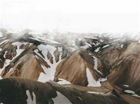 How Do I Do Basic Authentication With Guzzle