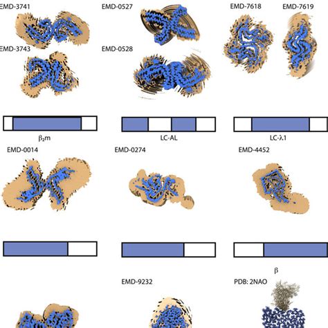 Pdf Amyloid Structures Much More Than Just A Cross β Fold